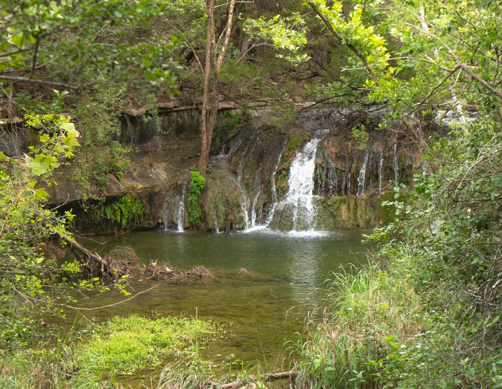 Visiting the Preserve | St. Edwards University in Austin, TX