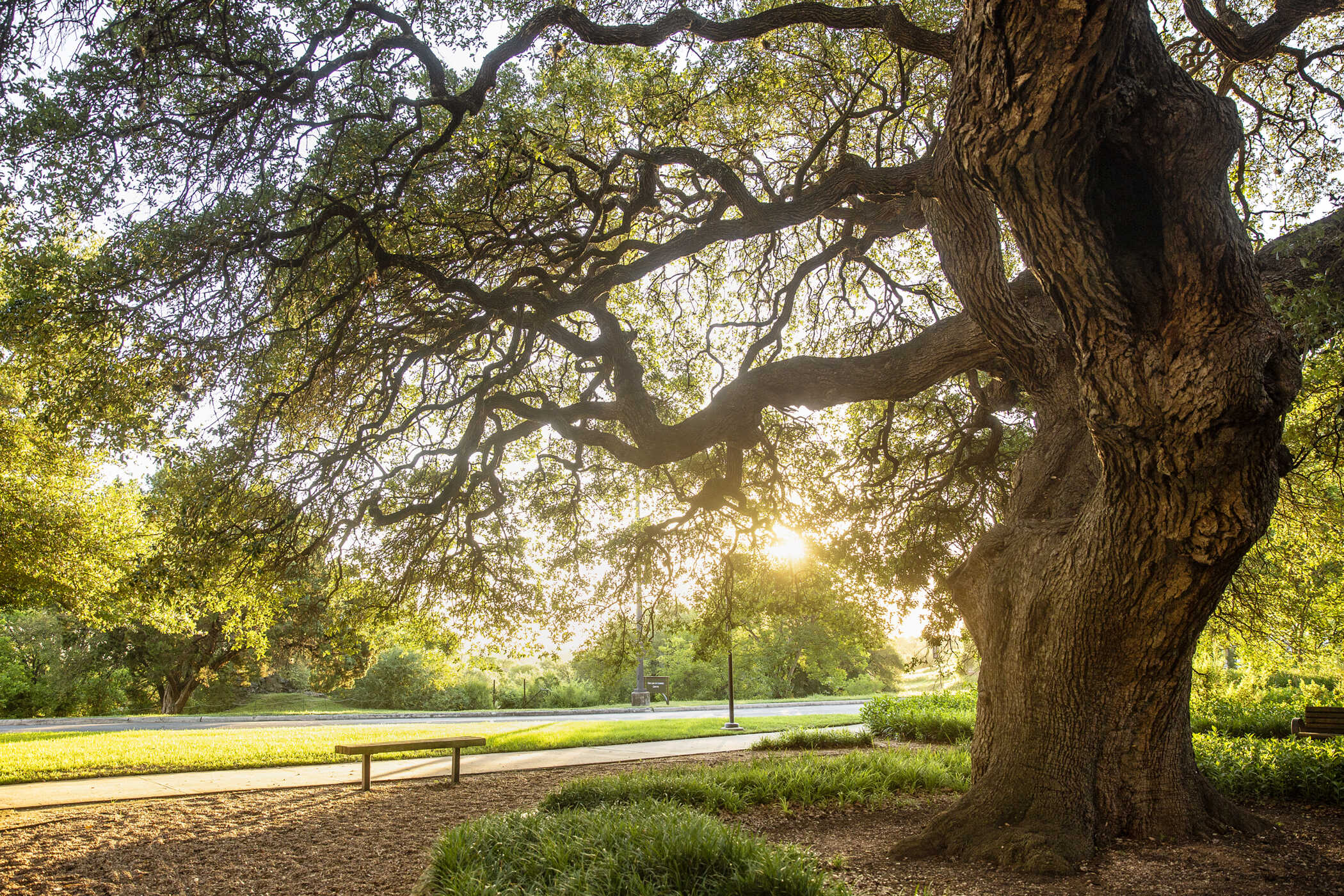 Campus Sustainability | St. Edwards University in Austin, TX
